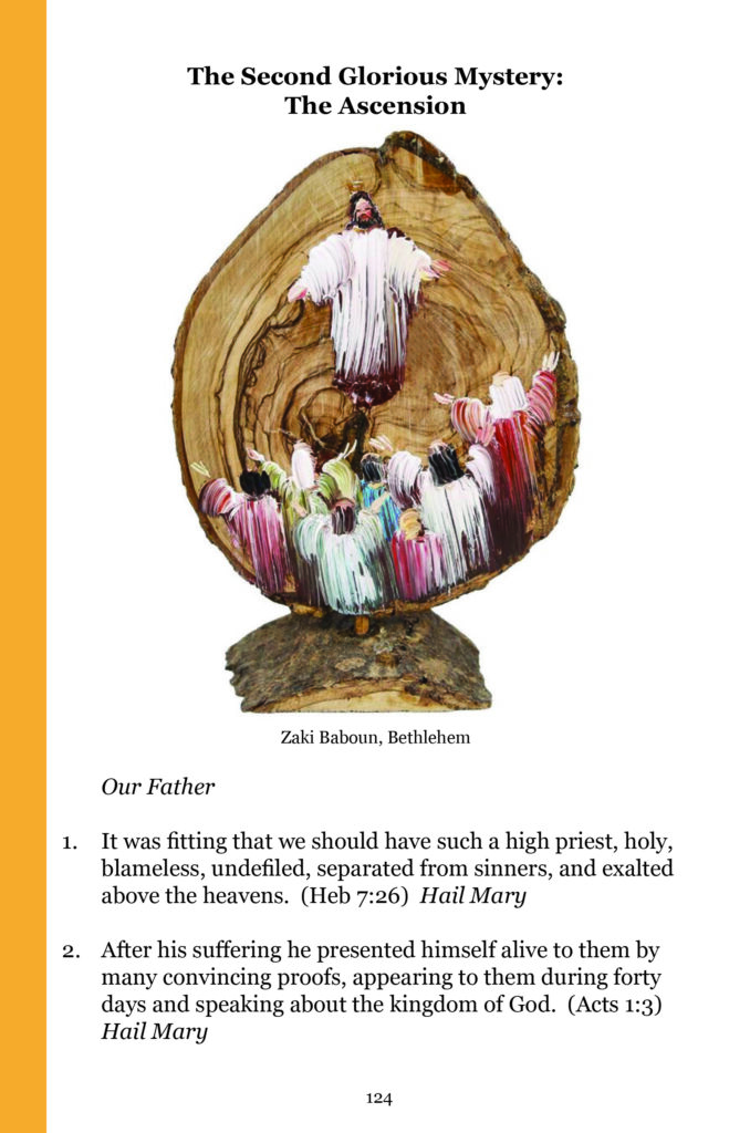 One Mother, One Family: A Scriptural Meditation on the Rosary with ...